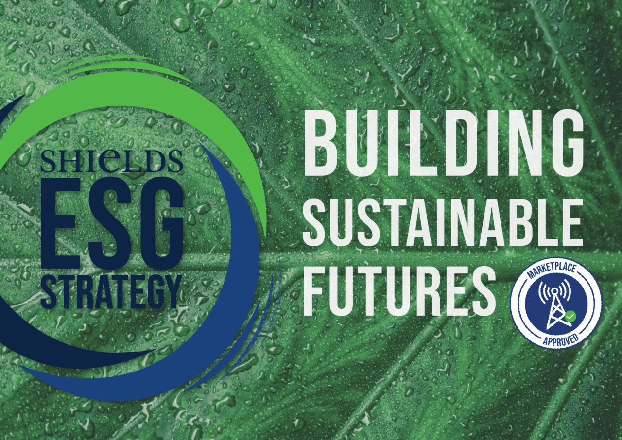 Building a Sustainable Future: The Circular Economy, ESG, Recycling and ...